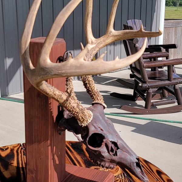 European Mount - Etsy