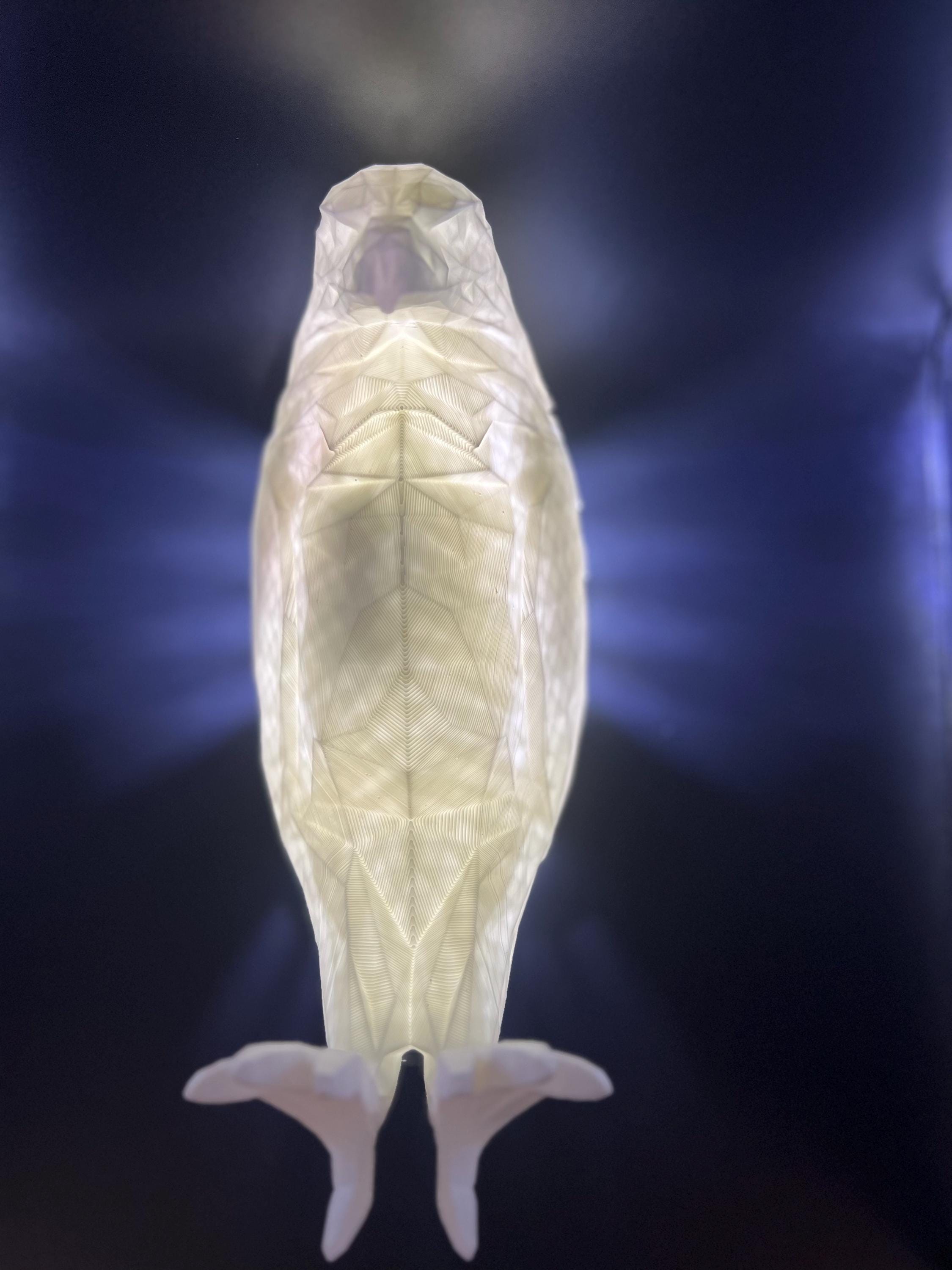 3D Printed Hawk Wall Light | Large LED Backlit Bird Sculpture | Modern ...