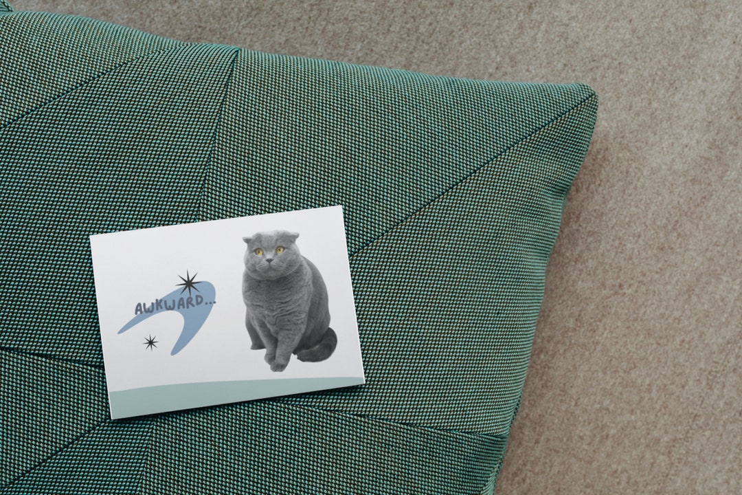 Cute Cat Pun Apology Card Sorry for the Cat-astrophe - Etsy
