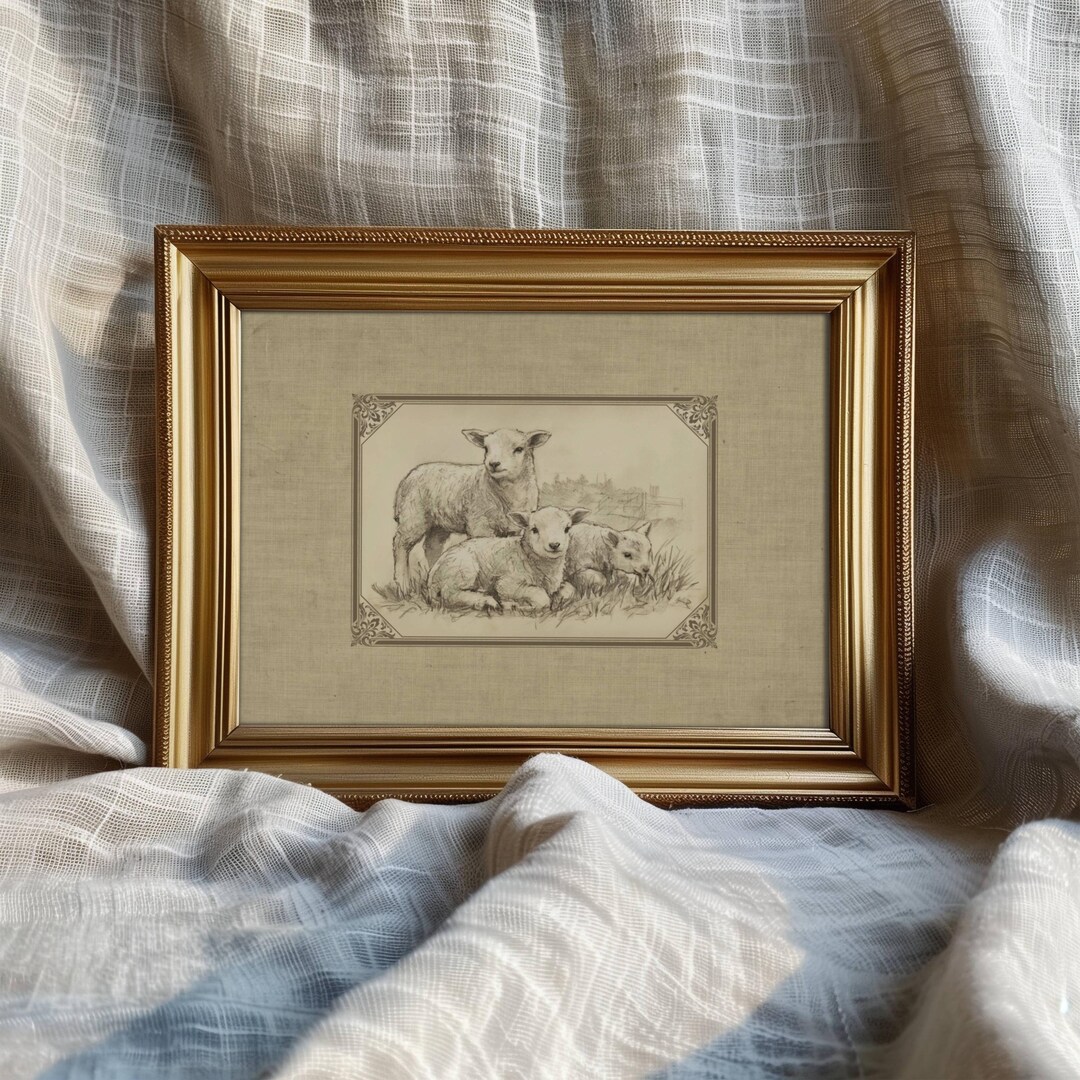 Vintage Lamb Drawing Pastoral Farm Animal Illustration Traditional ...