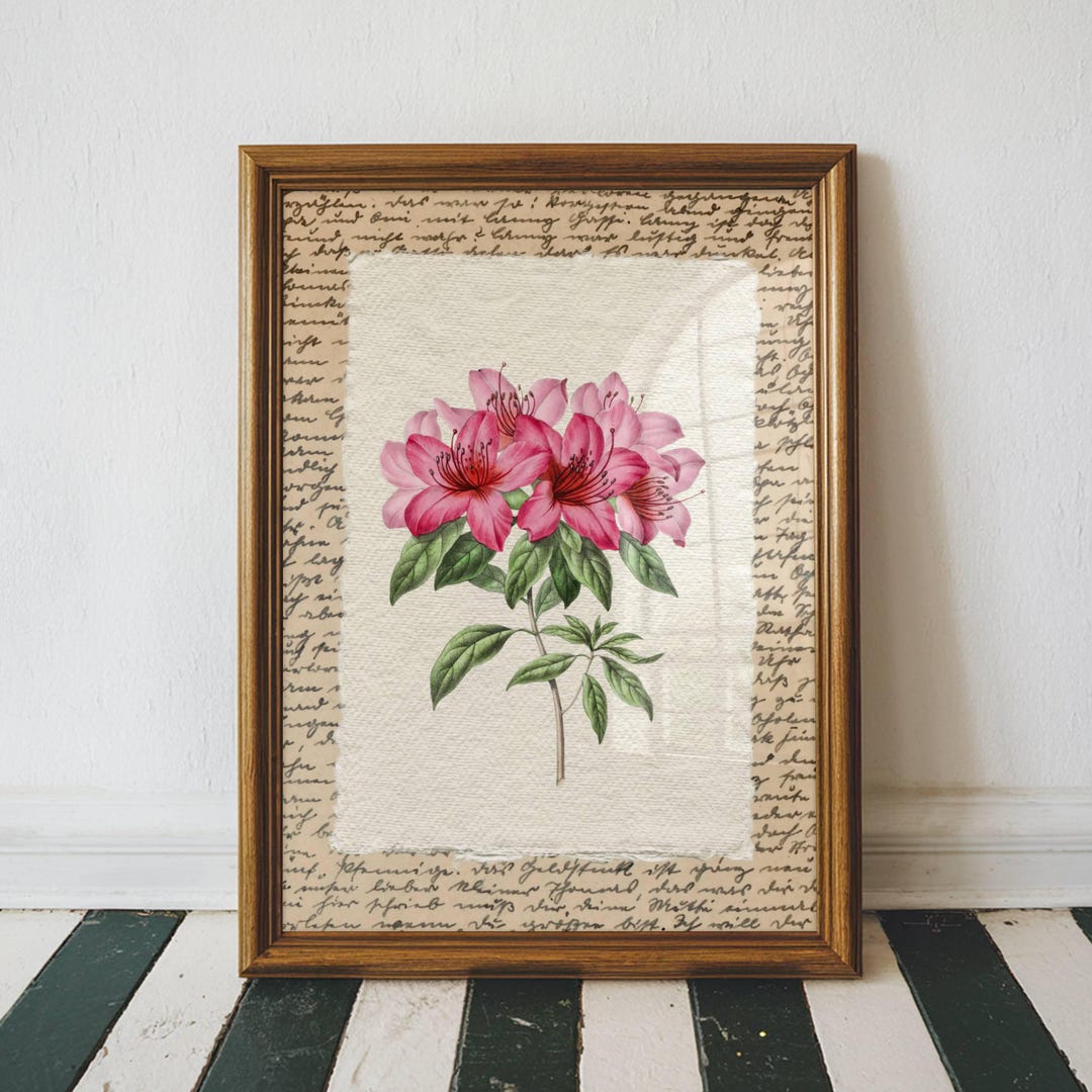 Vintage Pink Botanical Print Vintage Floral Poster Pink Floral Home ...