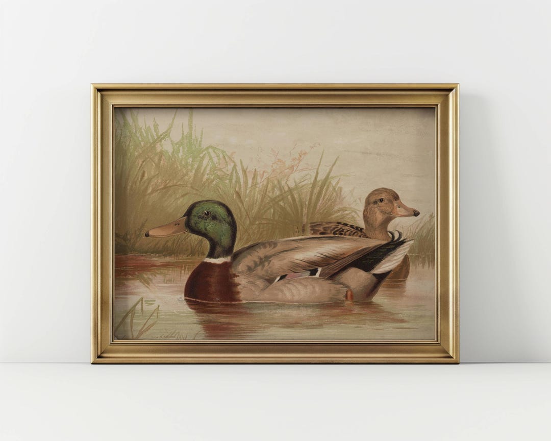 Vintage Mallard Duck Print Rustic Home Decor Antique Mallard Ducks ...