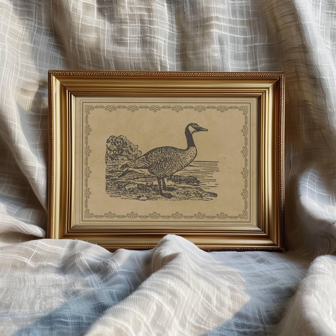 Vintage Goose Print Farmhouse Design Rustic Art Waterfowl Drawing ...