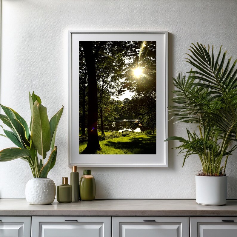 Zephyr | Fine Art Print | Giclée | Wall Art | Nature Photography ...