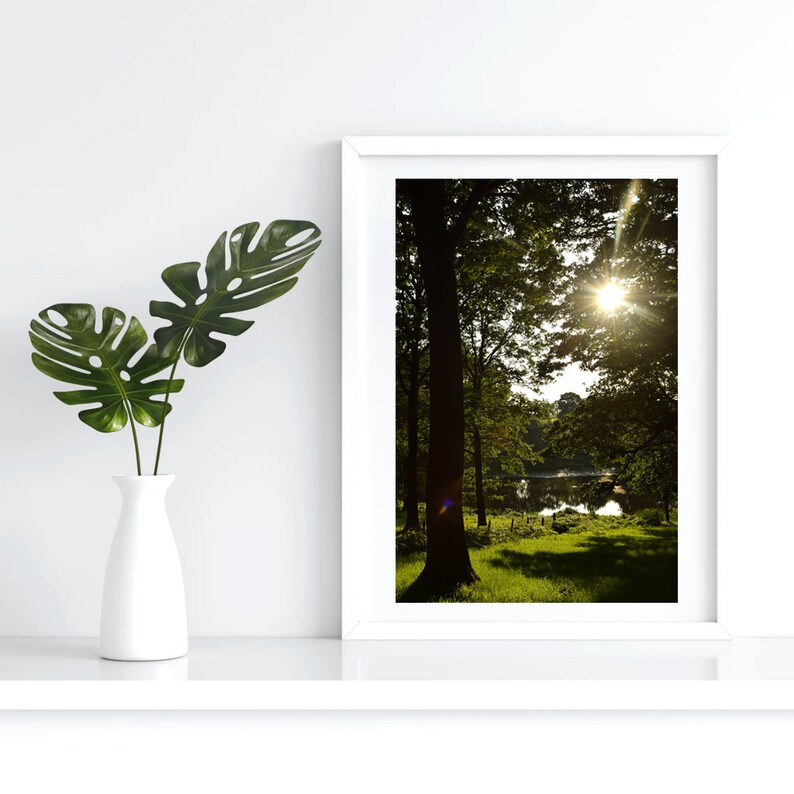 Zephyr | Fine Art Print | Giclée | Wall Art | Nature Photography ...