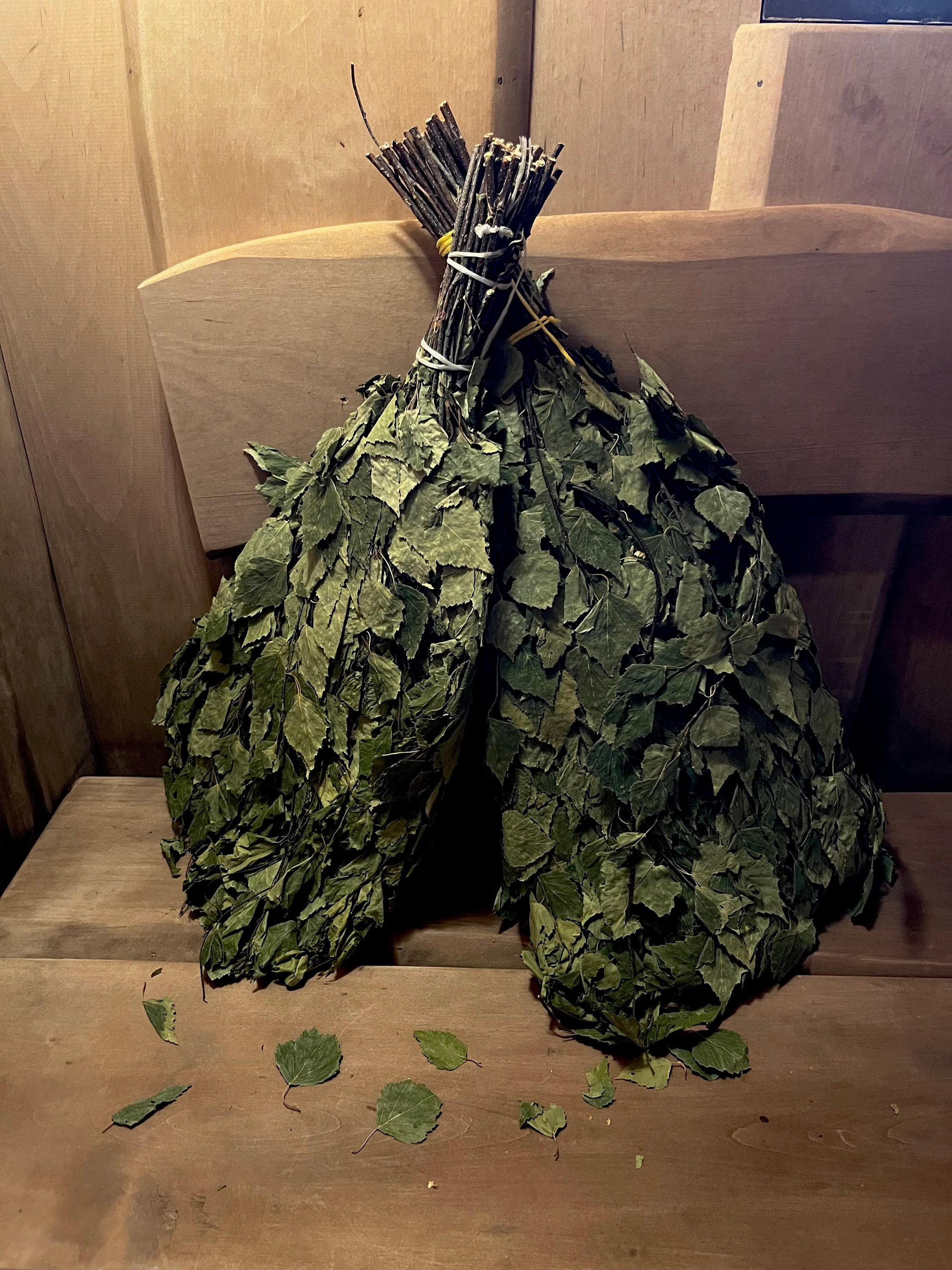 Birch Tree Sauna Broom: Revitalize Your Sauna Ritual. 1 Set 2 Psc. - Etsy