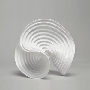 Poster Complex Forms - Etsy