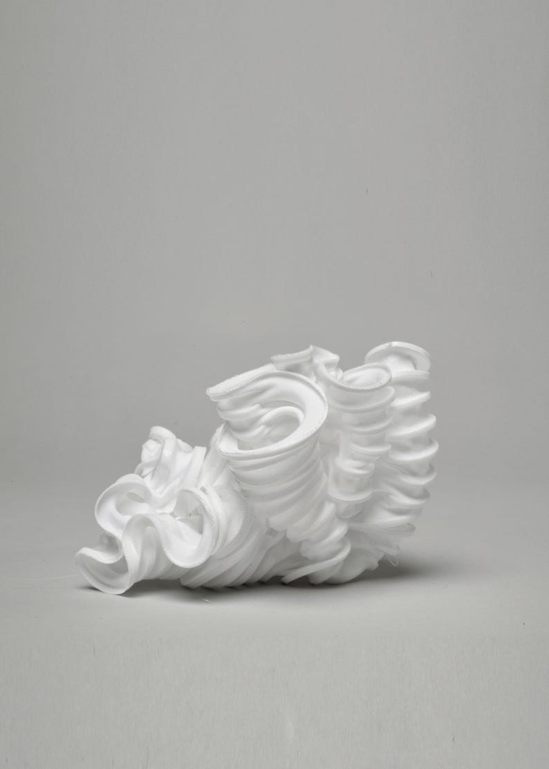 Poster Complex Forms - Etsy