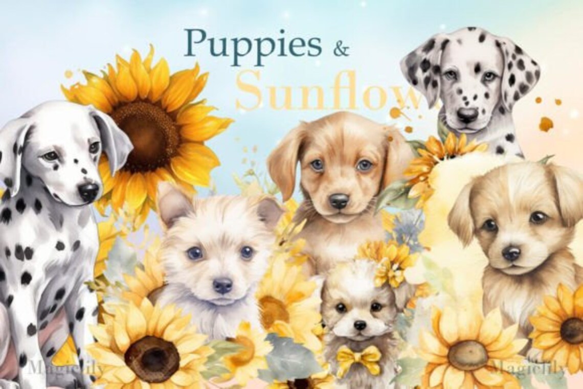 Puppies and Sunflowers Clipart Bundle - Etsy