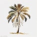 Palm Tree (simple Square Illustration) *** Package of 10 *** - Etsy