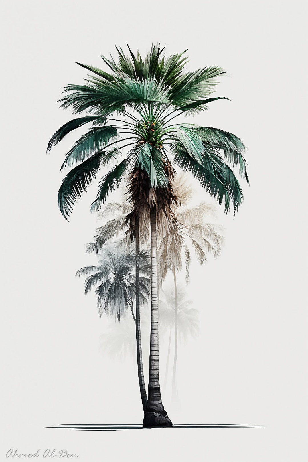 Palm Tree (simple Illustration) *** Package of 7 *** - Etsy