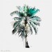 Palm Tree (simple Square Illustration) *** Package of 10 *** - Etsy