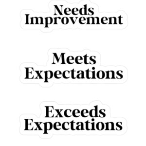 Funny Stickers, Expectations Combo Pack. 3 Stickers, Needs Improvement ...