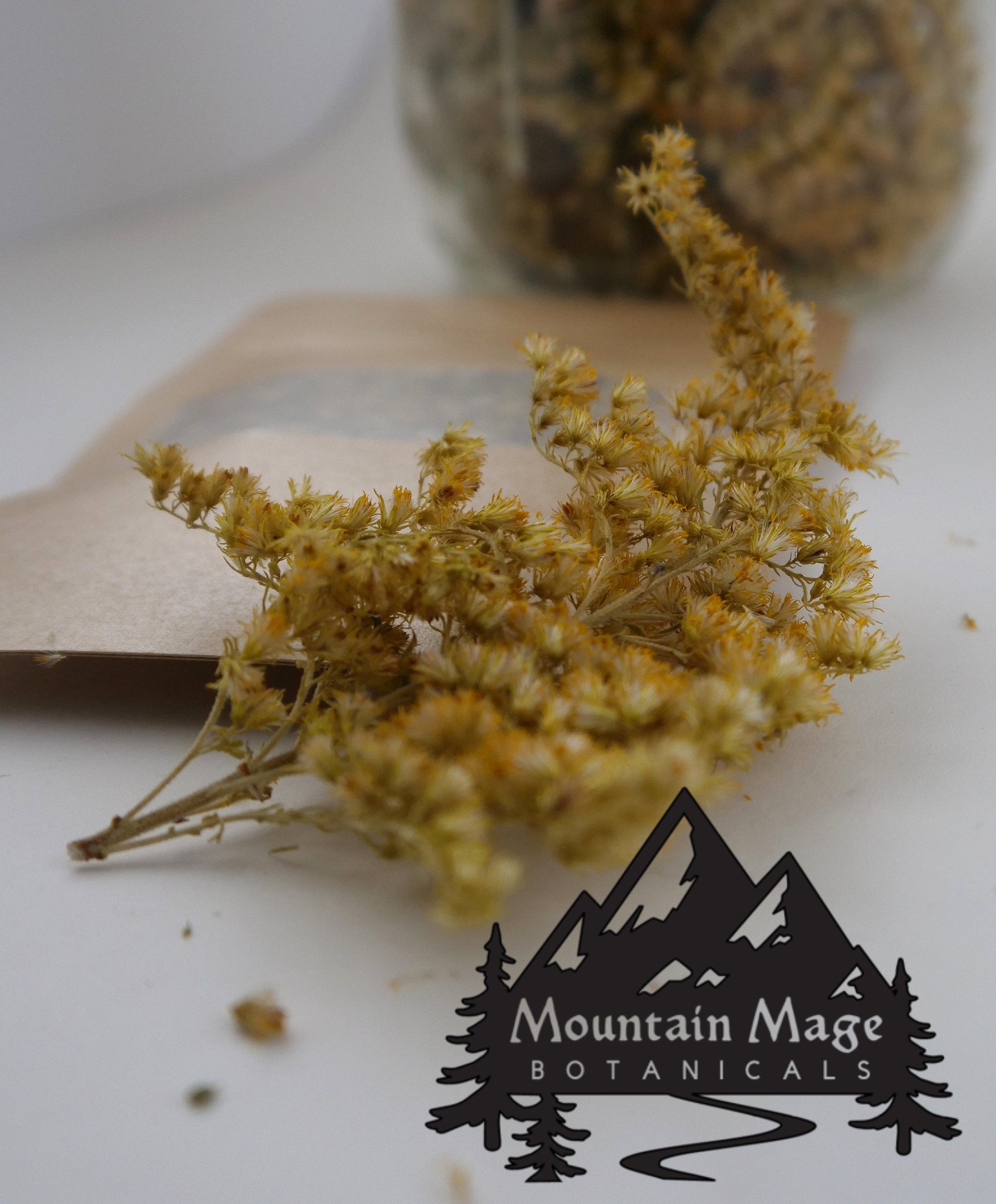 Dry Goldenrod Flowers - Slow Dried Solidago Canadensis (5g) - Etsy