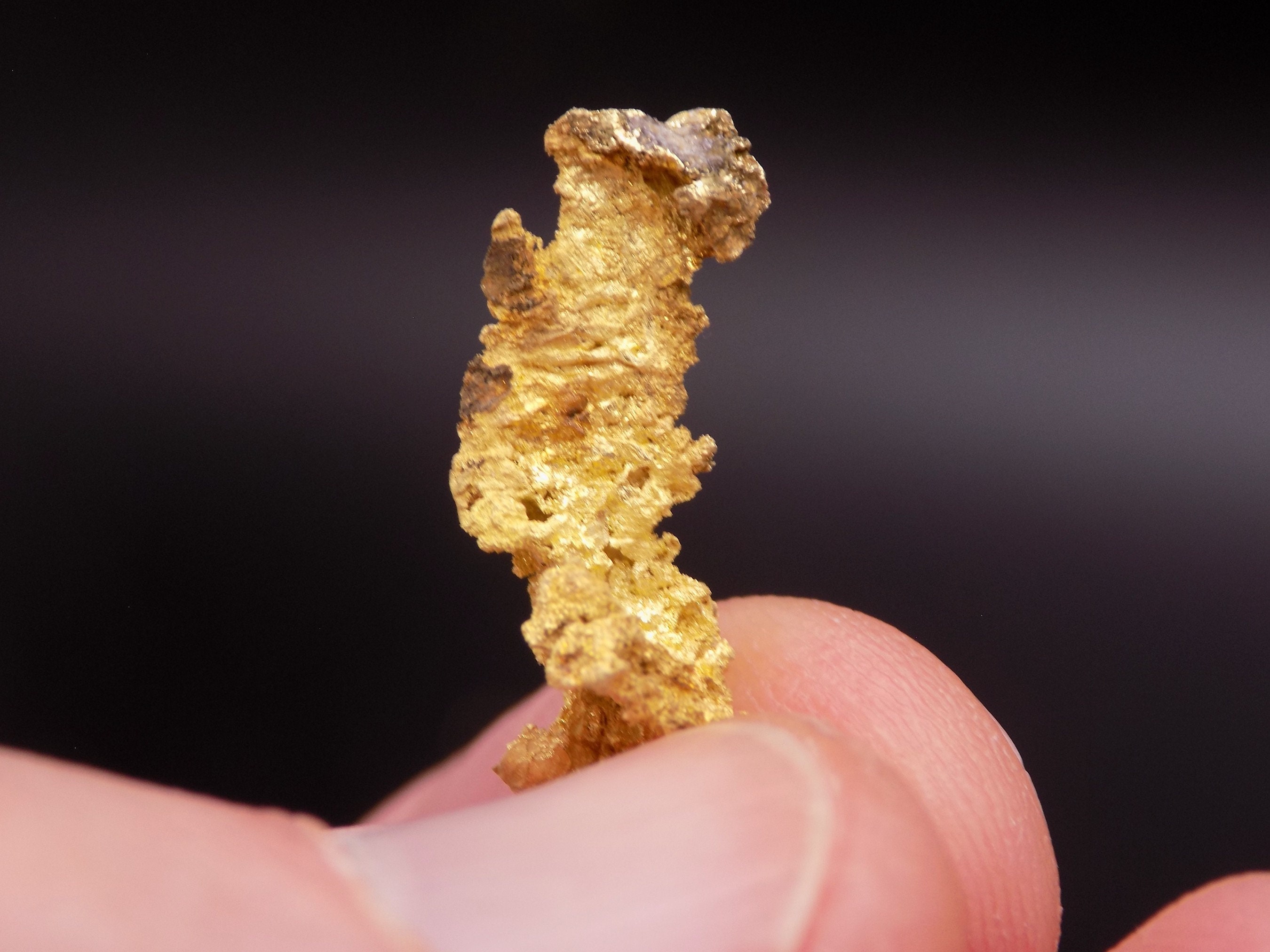 Crystallized Gold, Gold Nugget, Mineral Specimen, Native Metal, Gold ...