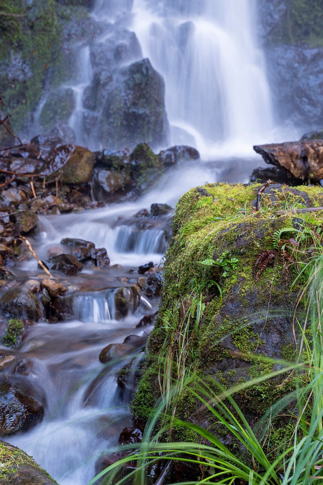 Yachats River Waterfalls on the Oregon Coast in the Pacific - Etsy