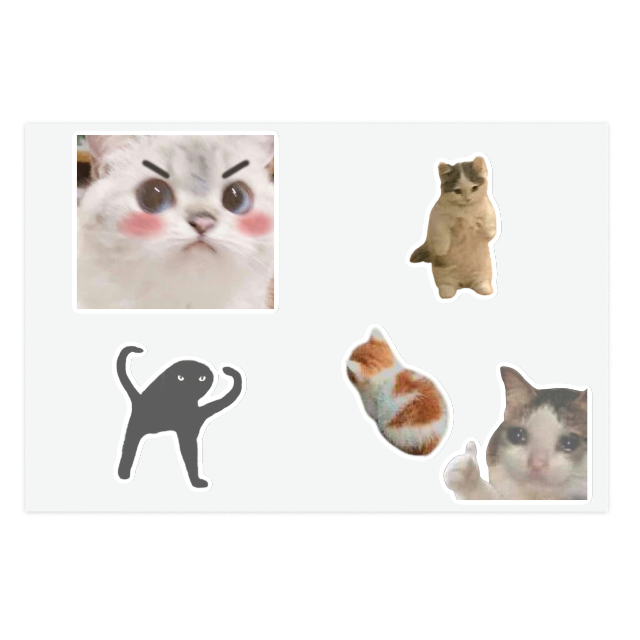 Cat Meme Sticker Sheets - Etsy