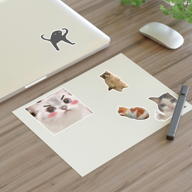 Cat Meme Sticker Sheets - Etsy Australia
