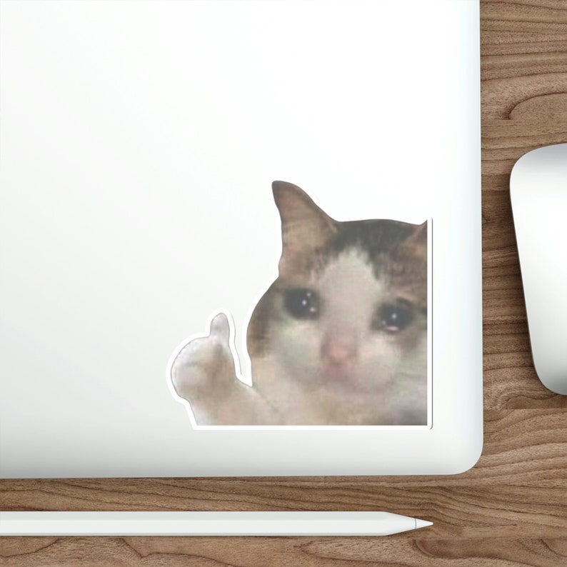 Crying Cat Meme Die-cut Stickers - Etsy