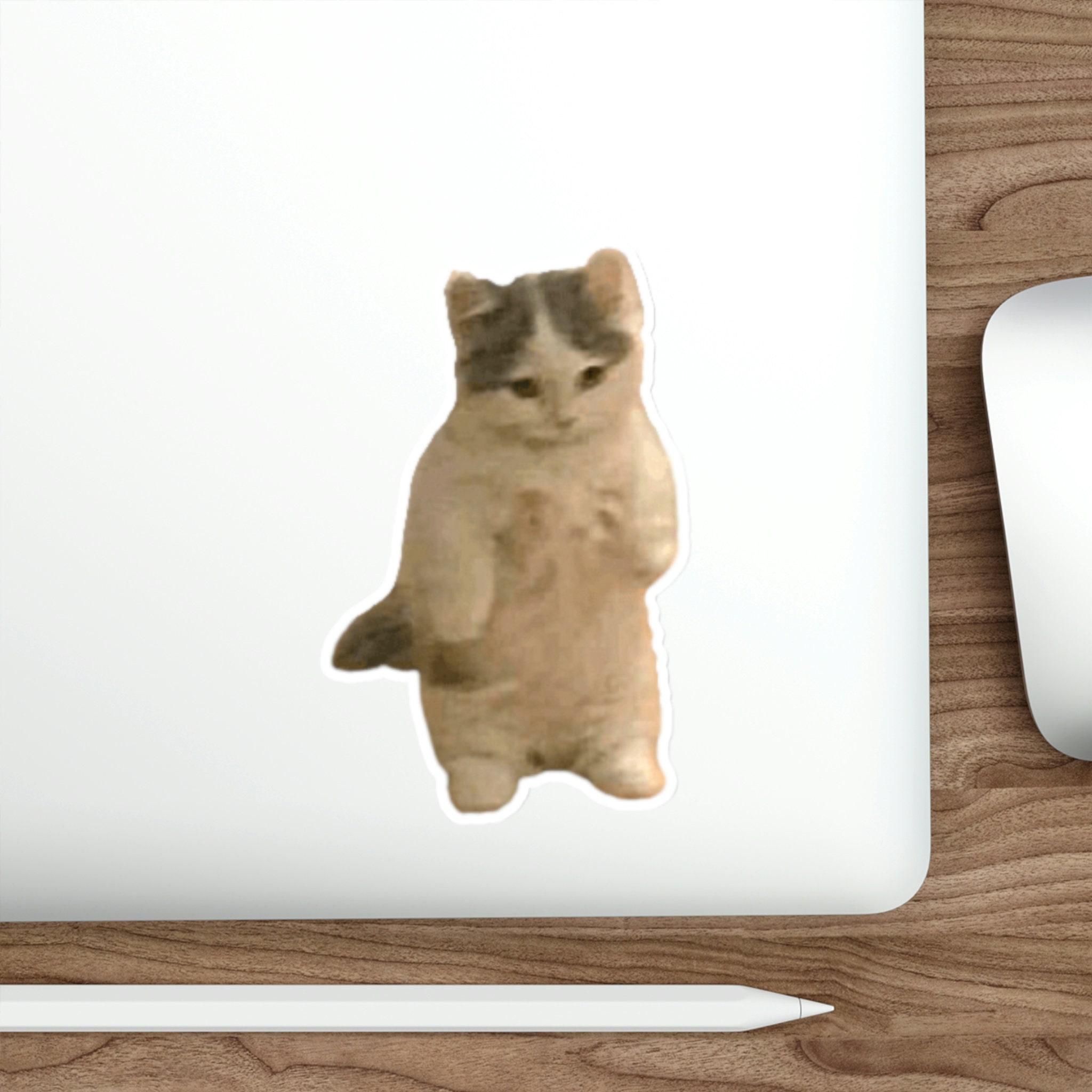 Cat Meme Die-cut Stickers - Etsy