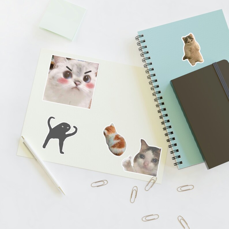 Cat Meme Sticker Sheets - Etsy