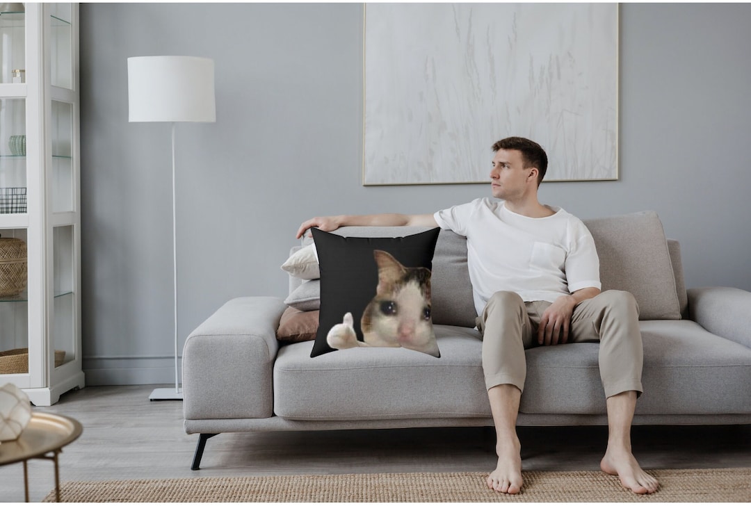 Crying Cat Meme Pillow - Etsy