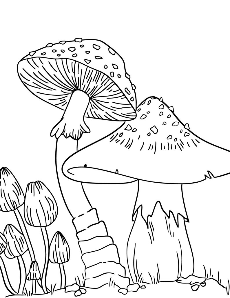 Printable Mushroom Coloring Book - Etsy