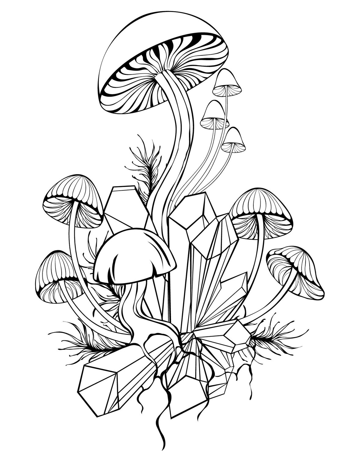 Printable Mushroom Coloring Book - Etsy