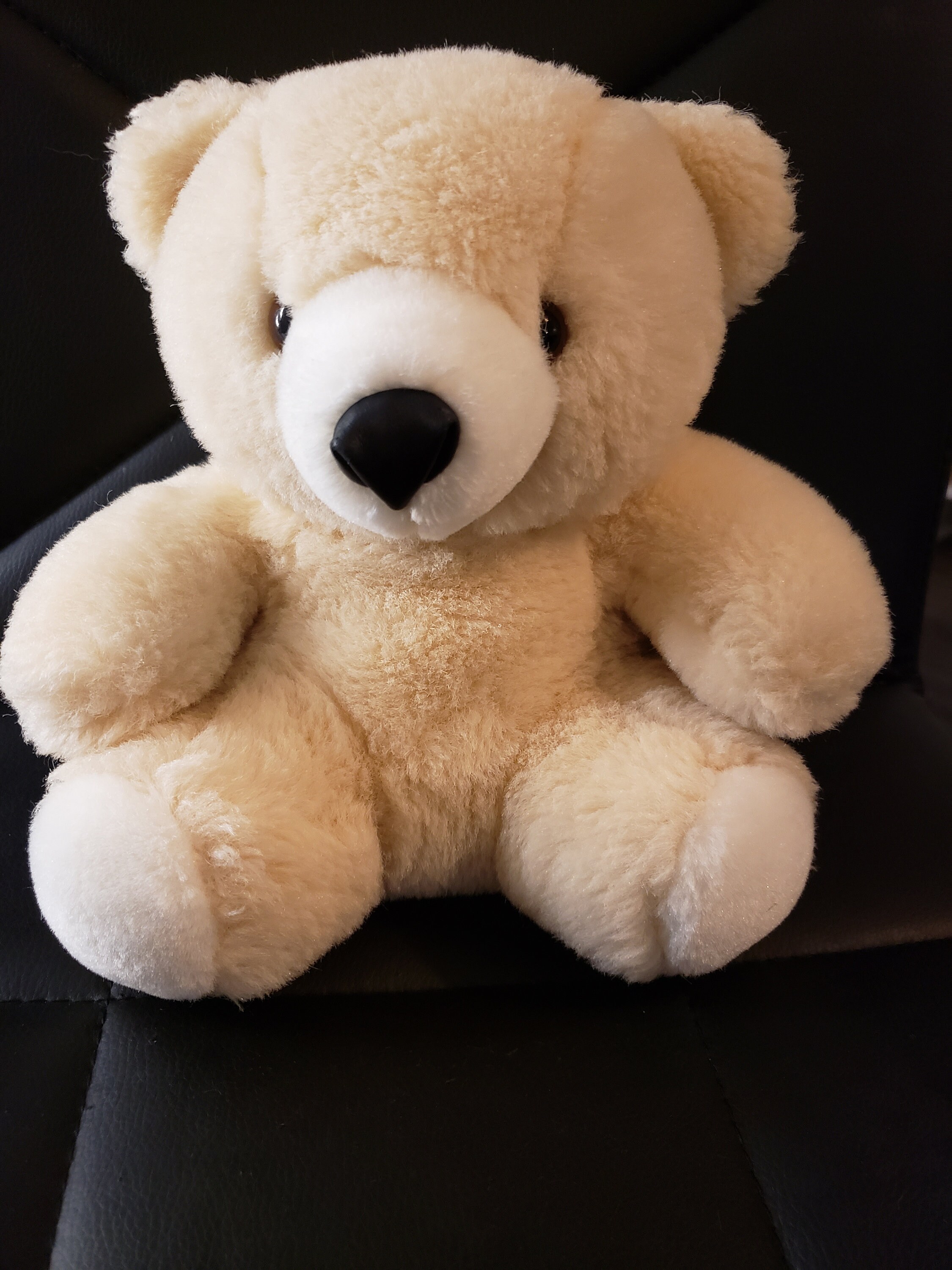 Warmies, Teddy Bear. Microwaveable Rice Filled Stuffed Animal. Warming ...