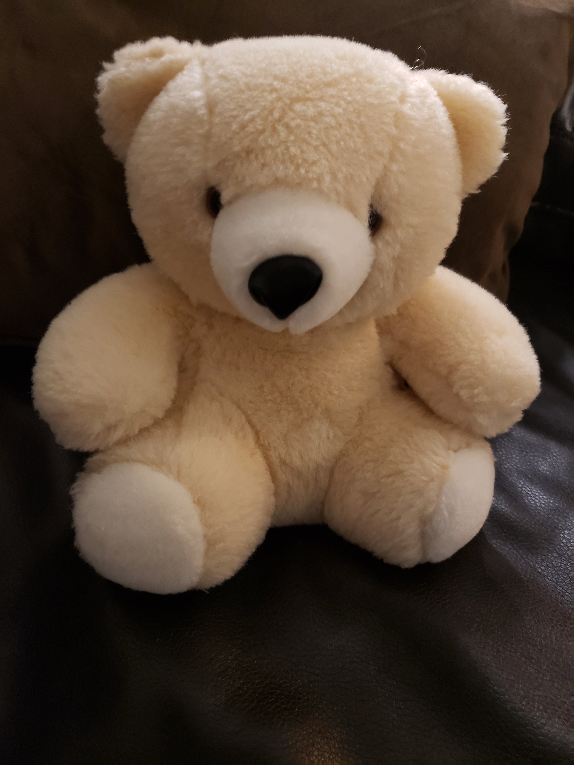 Warmies, Teddy Bear. Microwaveable Rice Filled Stuffed Animal. Warming ...