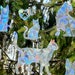 Sunflower Suncatcher Sticker, Positive Uplifiting Vinyl, Rainbowmaker ...