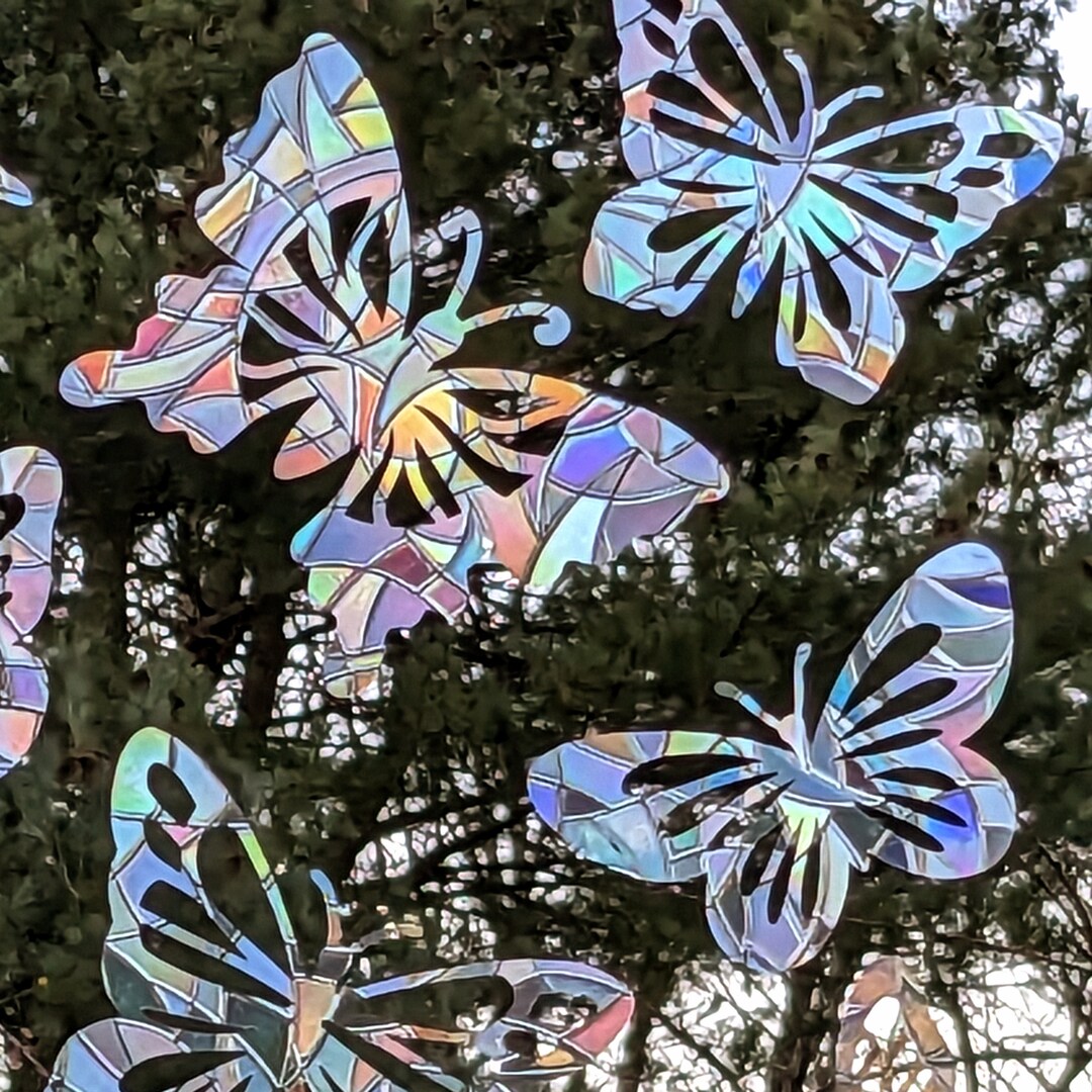 Butterfly Window Clings~set of 11~prevent Bird Strikes~static Cling No ...