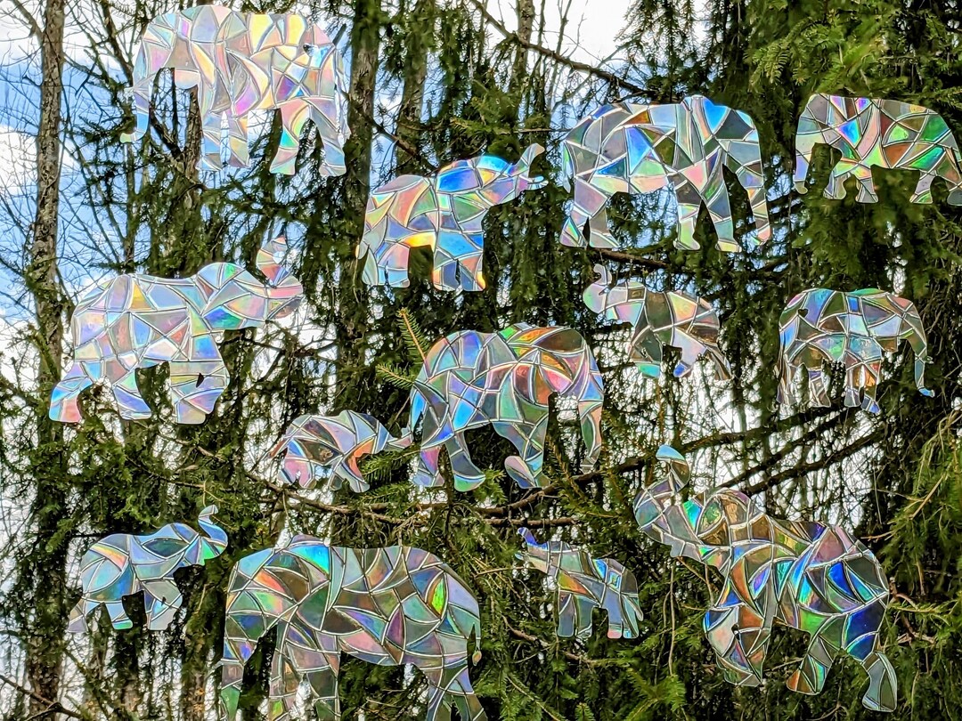 Elephant Prism Window Clings~set of 12~help Prevent Bird Strikes~no ...
