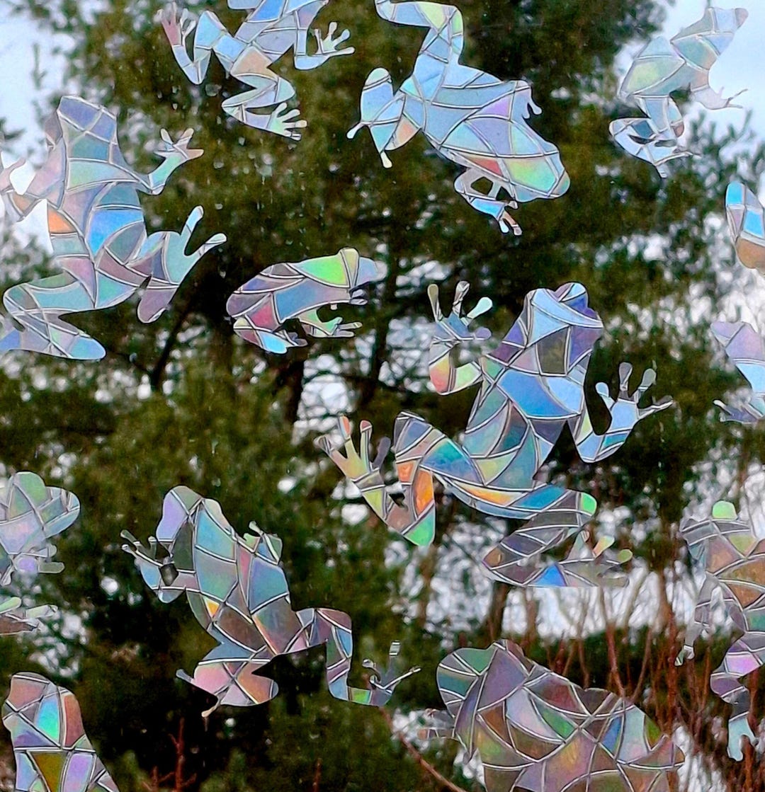 Frog Window Clings~set of 18~bird Strike Prevention~prism Suncatchers ...