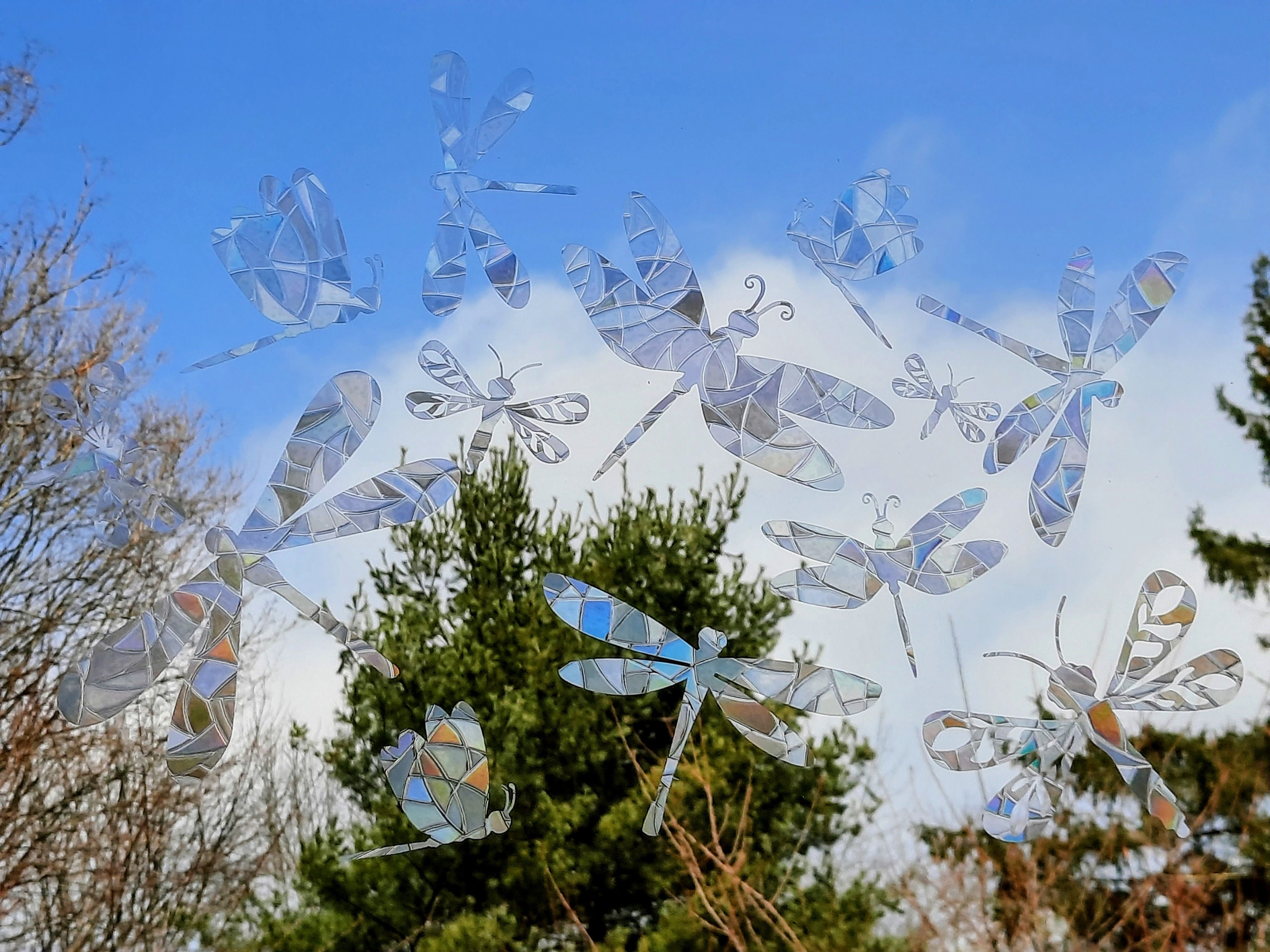 Dragonfly Window Clingsset of 13prevent Bird Strikesstatic - Etsy
