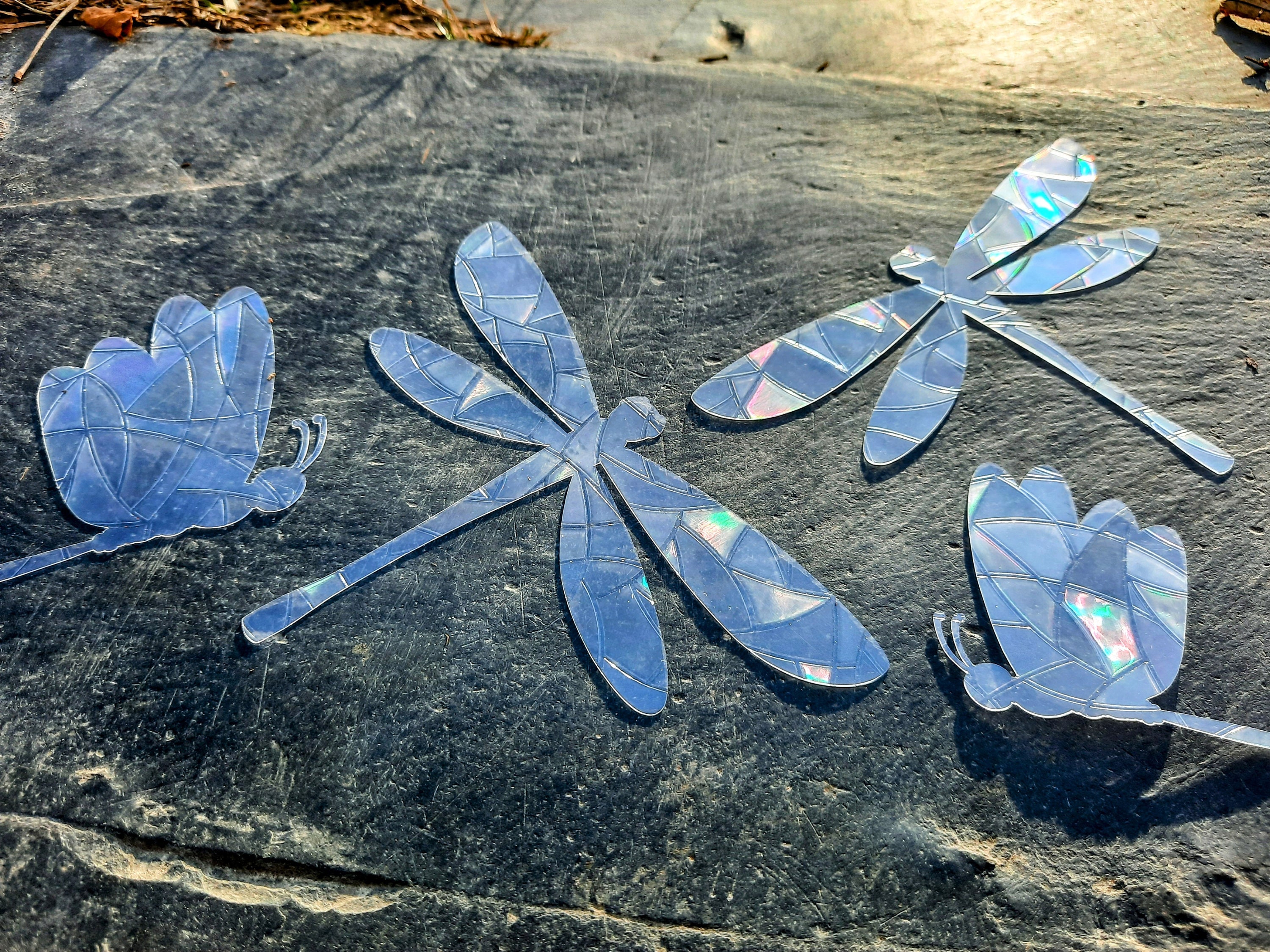 Dragonfly Window Clings~set of 13~prevent Bird Strikes~static Cling No ...
