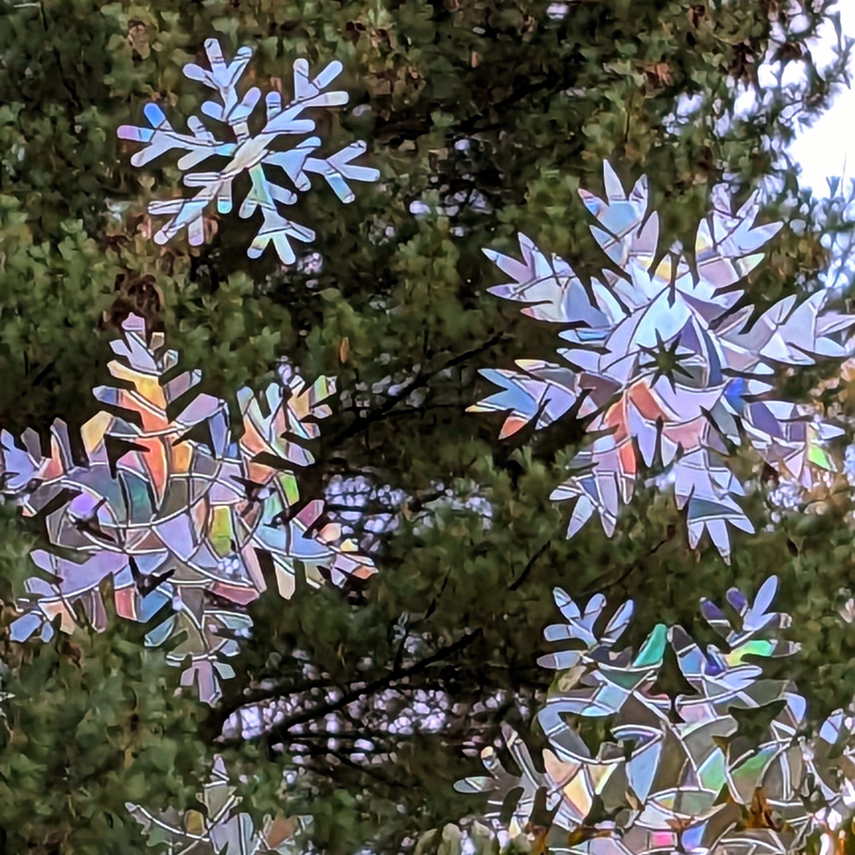 Snowflake Window Clings~set of 9~bird Strike Prevention~static Cling~no ...