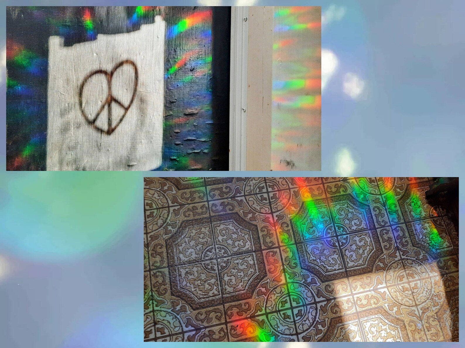 Bigfoot Prism Window Clingsset of 12prevent Bird - Etsy