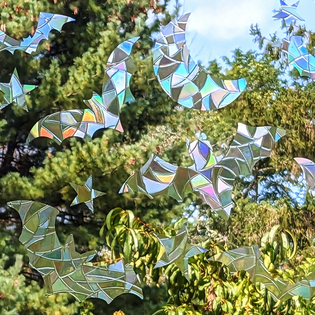 Bat Window Clings~set of 22~bird Strike Prevention Decal~static Cling ...