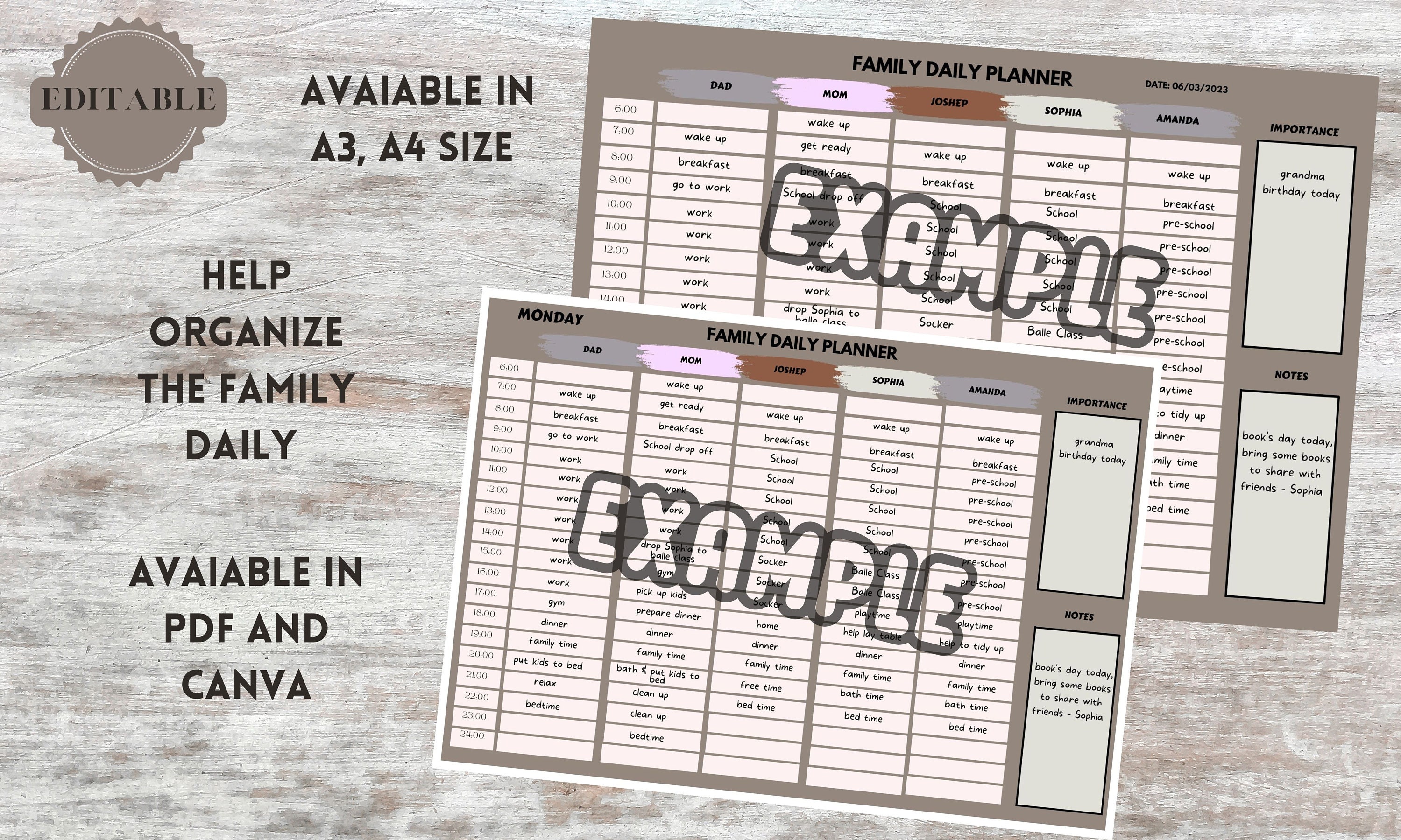 Digital Daily Family Planner for Busy Families Printable - Etsy
