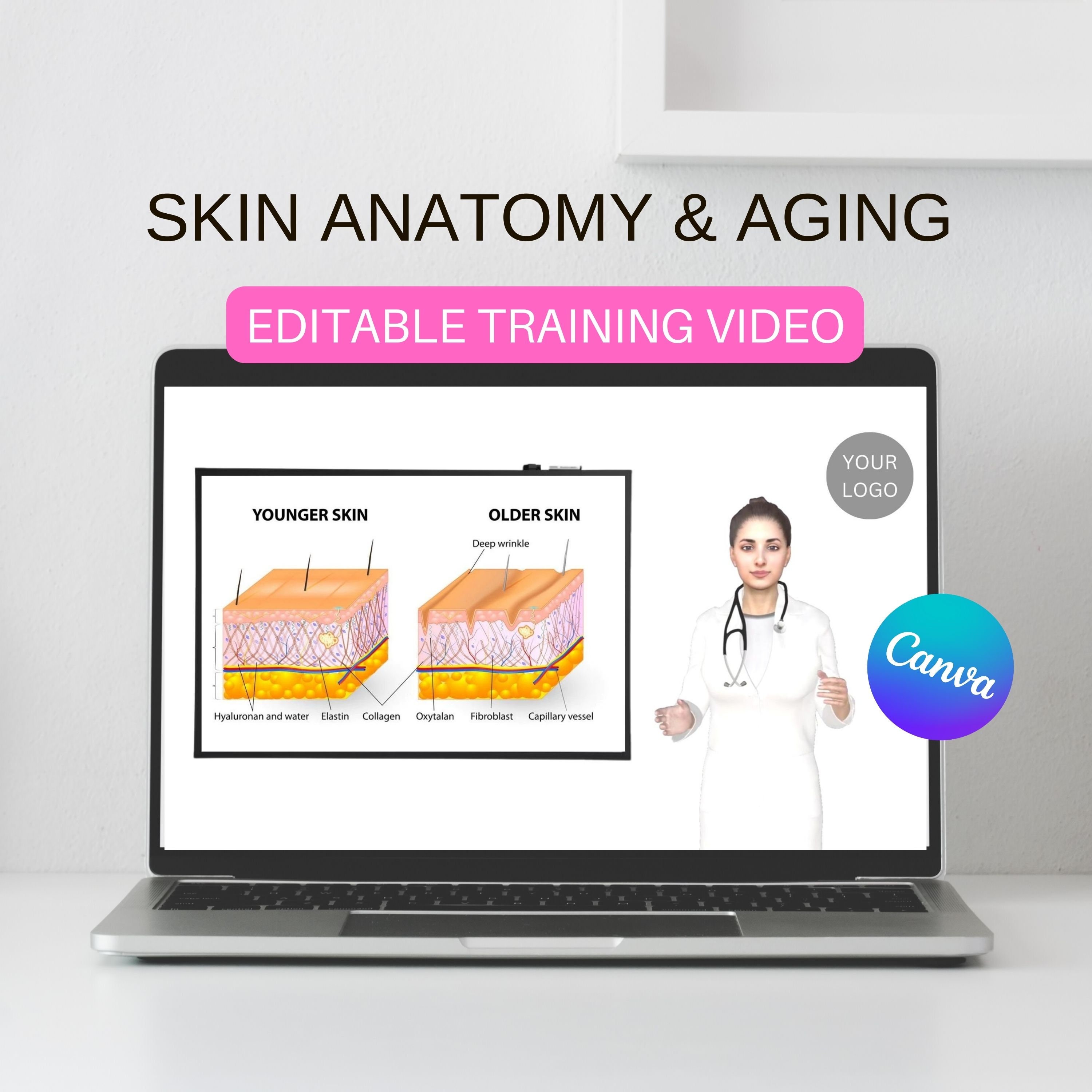Skin Anatomy and Aging Training Manual | Canva Editable Beauty Theory ...