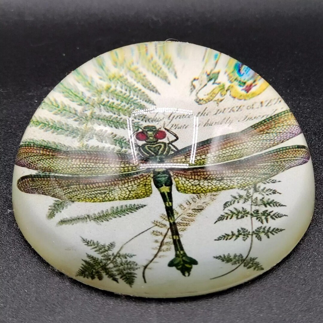 Dragonfly Art Under Half Dome Glass Paperweight Home Office Desk Decor ...