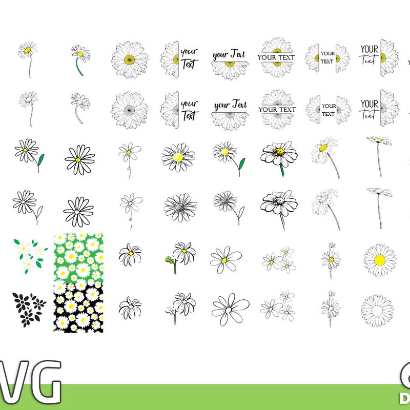 White Daisy Svg - Etsy