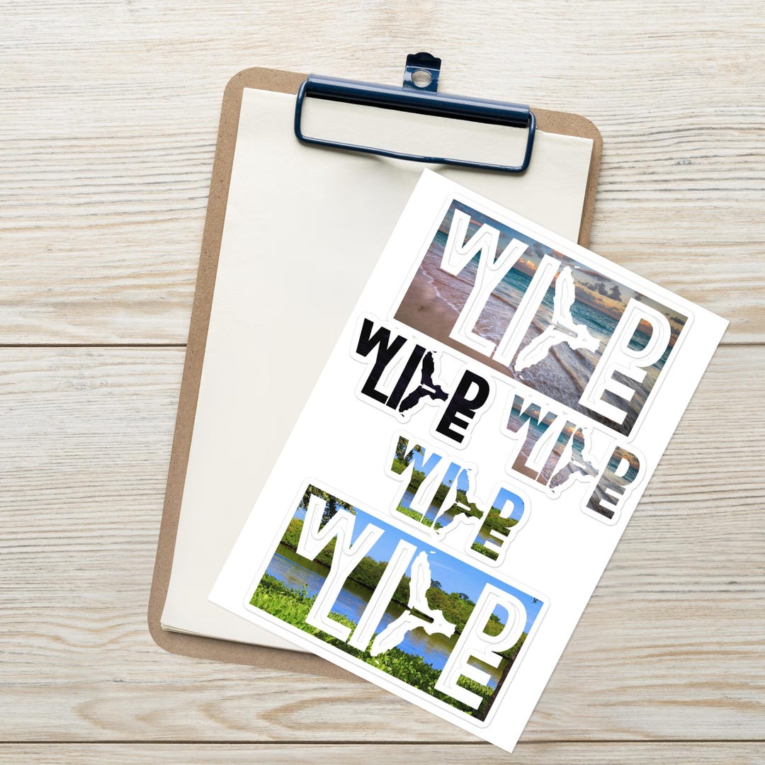 Florida Wildlife Sticker Sheet by Crystalyn - Etsy