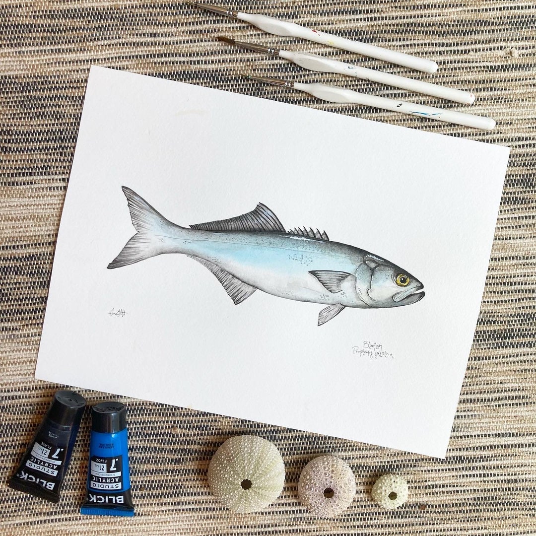 Custom Species Portrait - Your Favorite Fish, Painted Just for You - Etsy