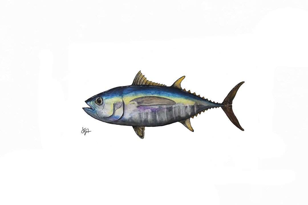 Bigeye Tuna Species Portrait - Giclée Art Print - Etsy