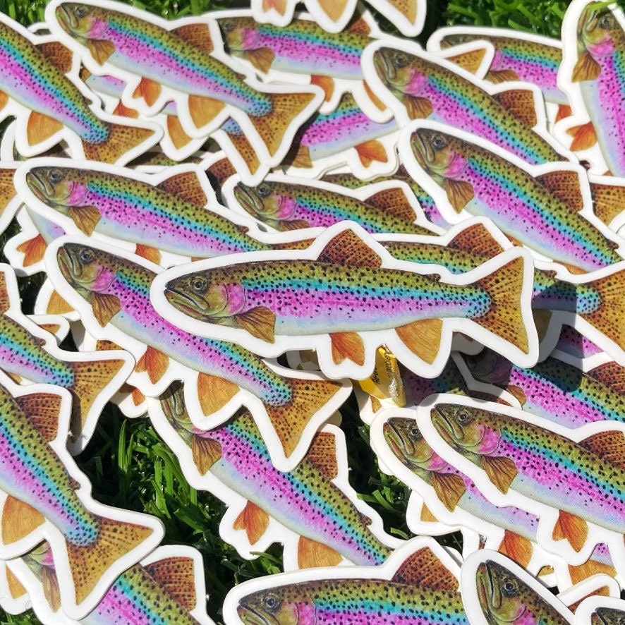 Rainbow Trout Sticker - Etsy