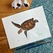 Green Sea Turtle Species Portrait - Giclée Art Print - Etsy