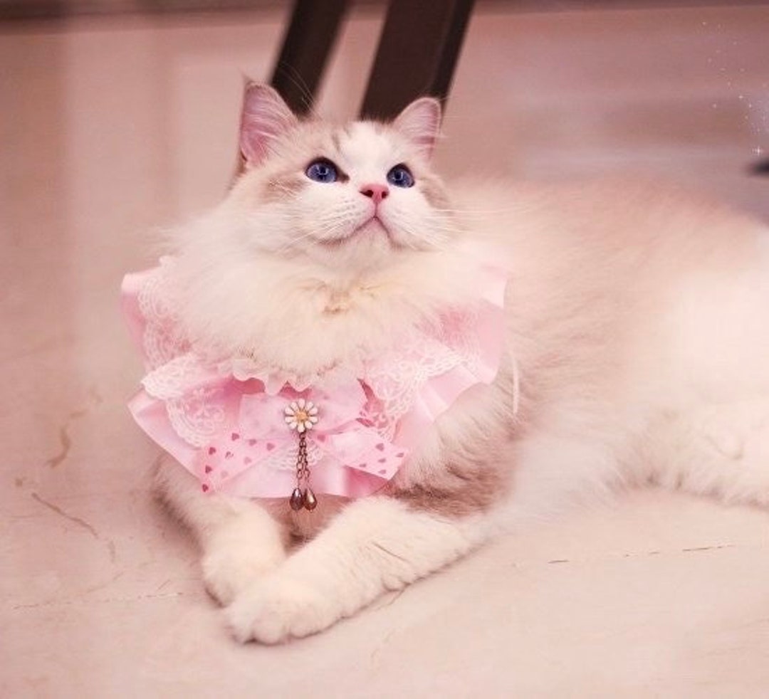 Beautiful Handmade Collar, Pet Party, Wedding Lace Collar, Pet Jewelry ...