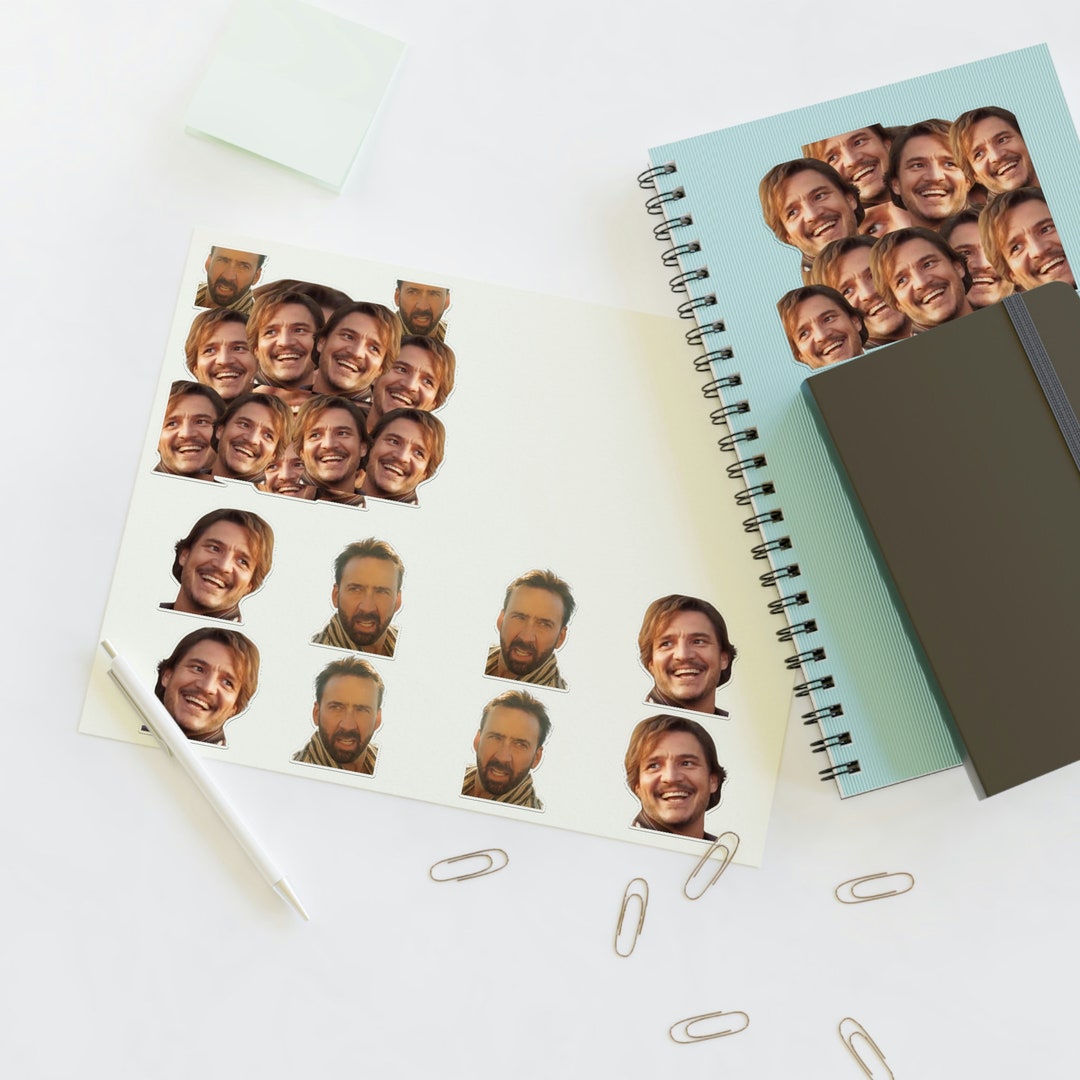 Pedro Pascal & Nicolas Cage Car Meme Sticker Sheets - Etsy